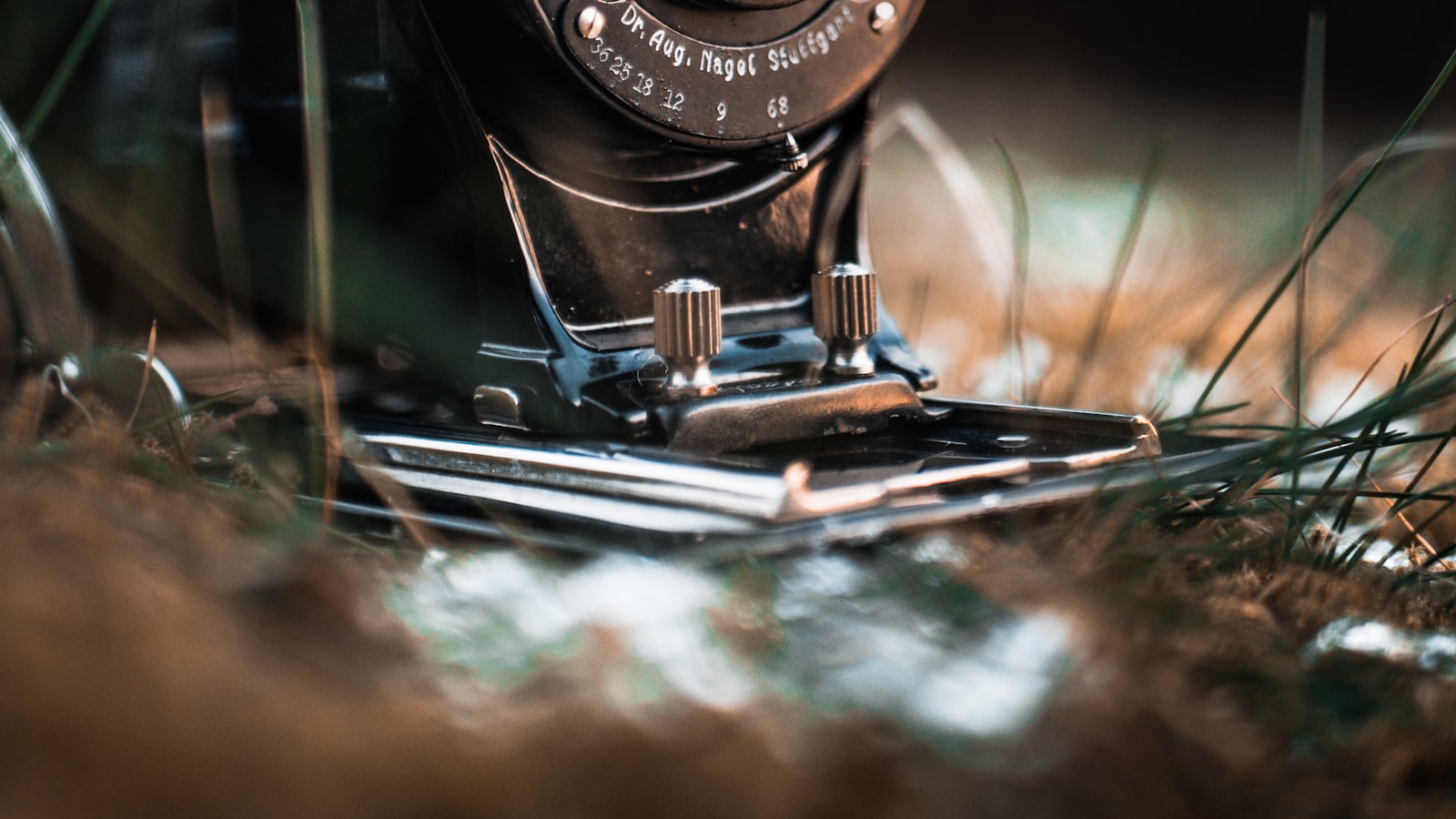 esempio haccp bar - Giulio Morelli